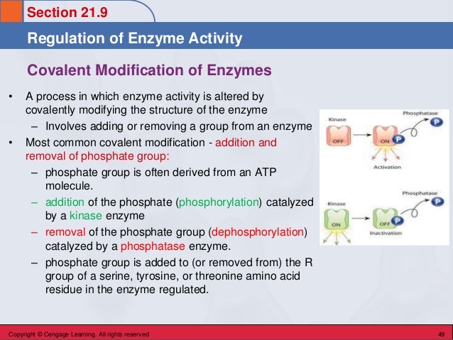 Chem 45 Biochemistry: Stoker Chapter 21 Enzymes & Vitamins