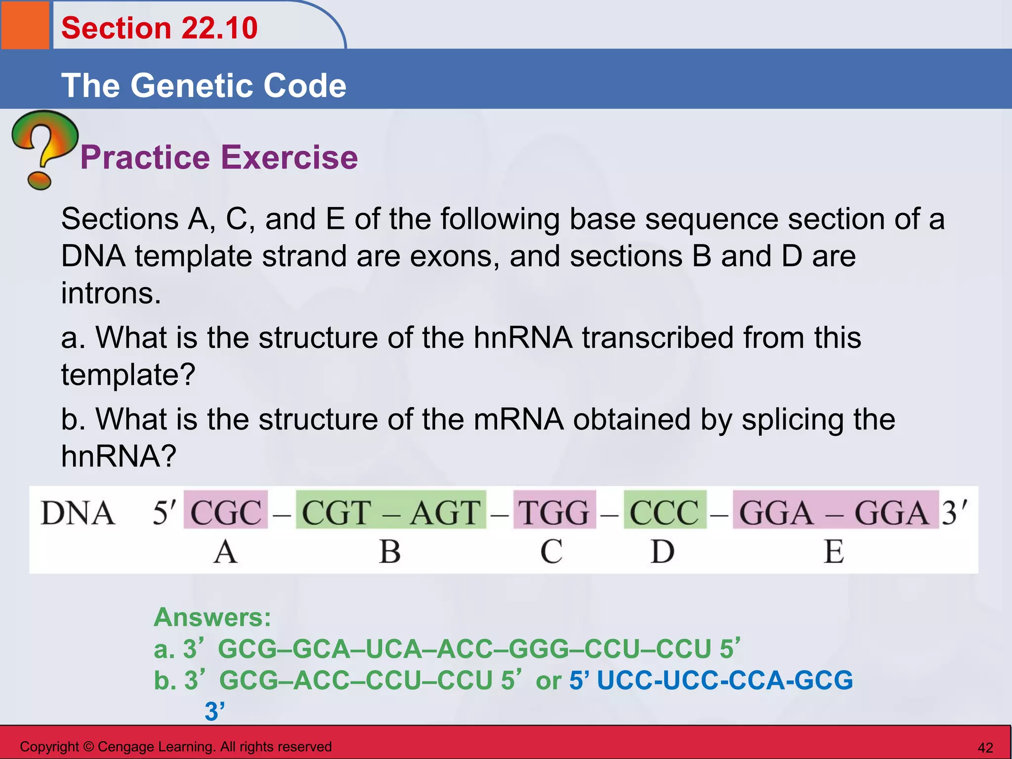 Chem 45 Biochemistry: Stoker chapter 22 Nucleic Acids | PDF