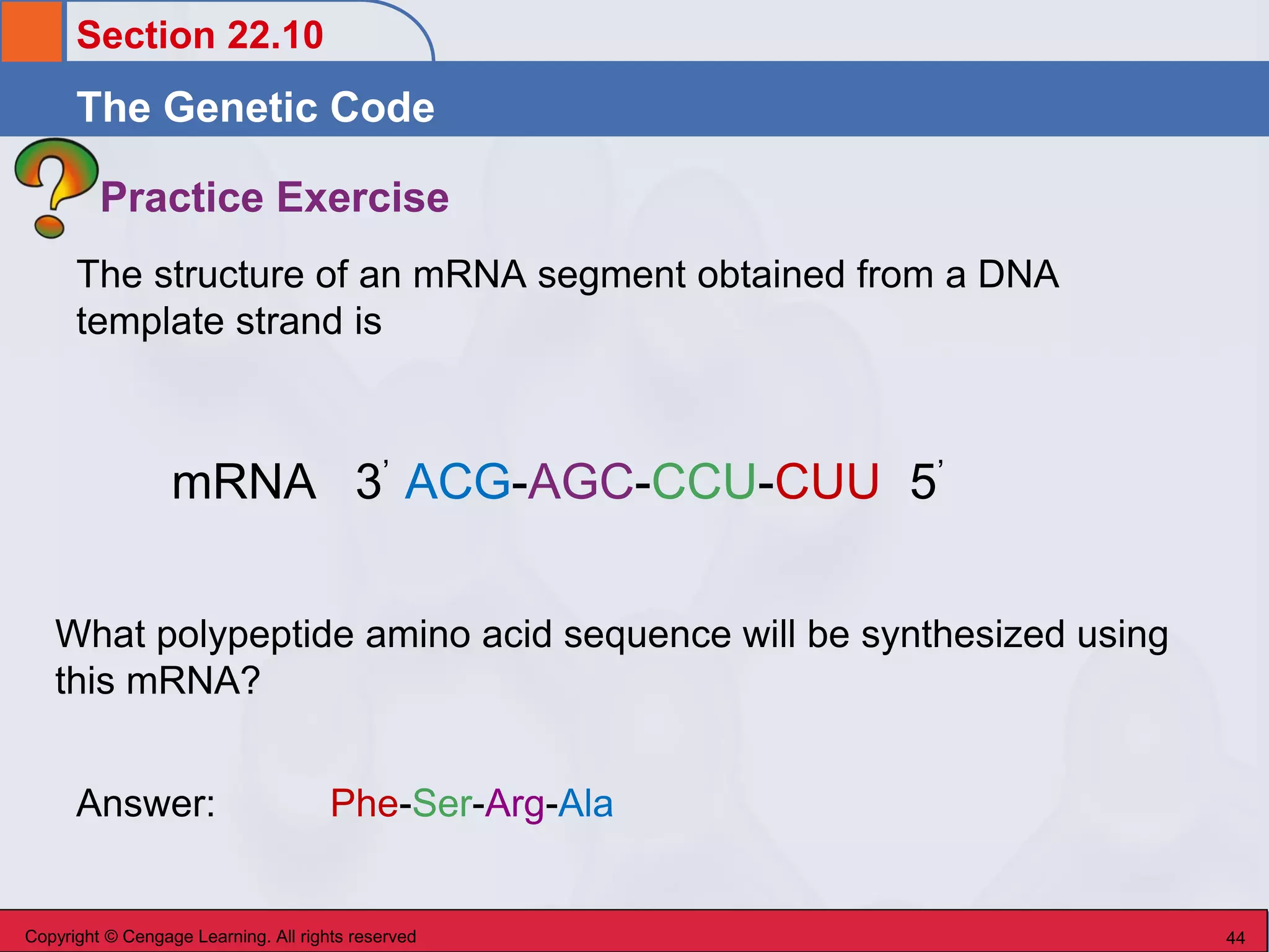 Chem 45 Biochemistry: Stoker chapter 22 Nucleic Acids | PDF