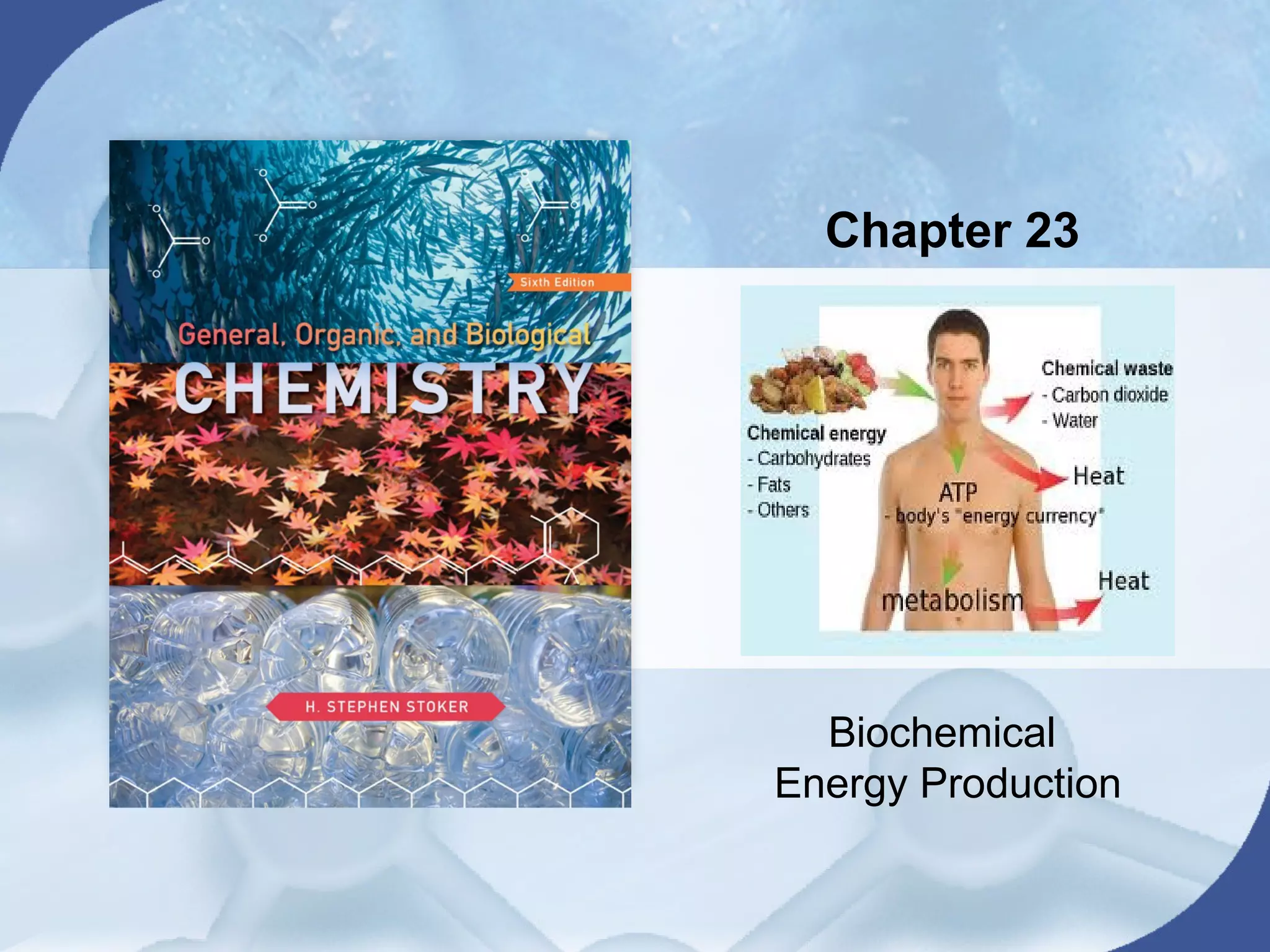 Chem 45 Biochemistry: Stoker chapter 23 Metabolism Introduction | PDF