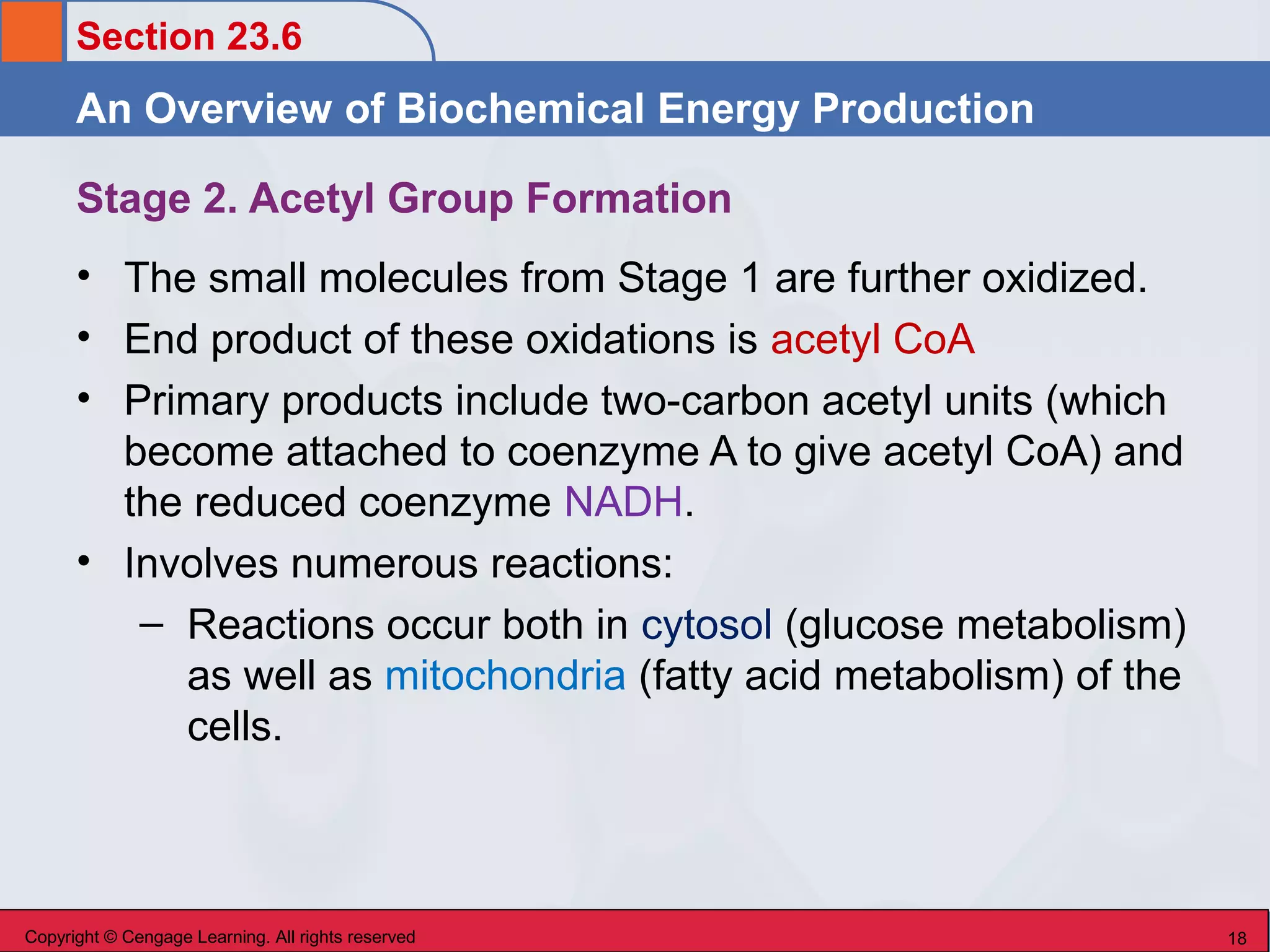 Chem 45 Biochemistry: Stoker chapter 23 Metabolism Introduction | PDF