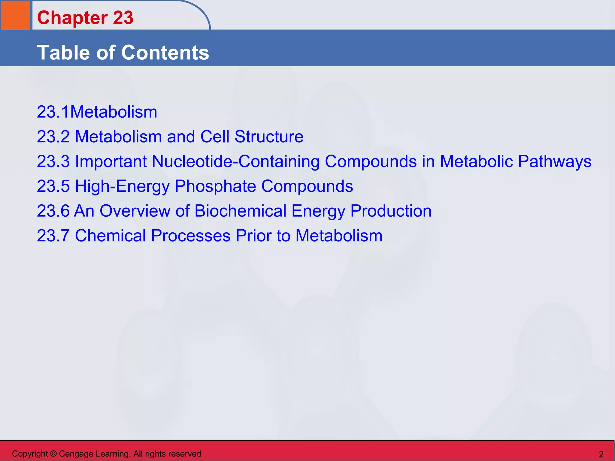 Chem 45 Biochemistry: Stoker chapter 23 Metabolism Introduction | PDF