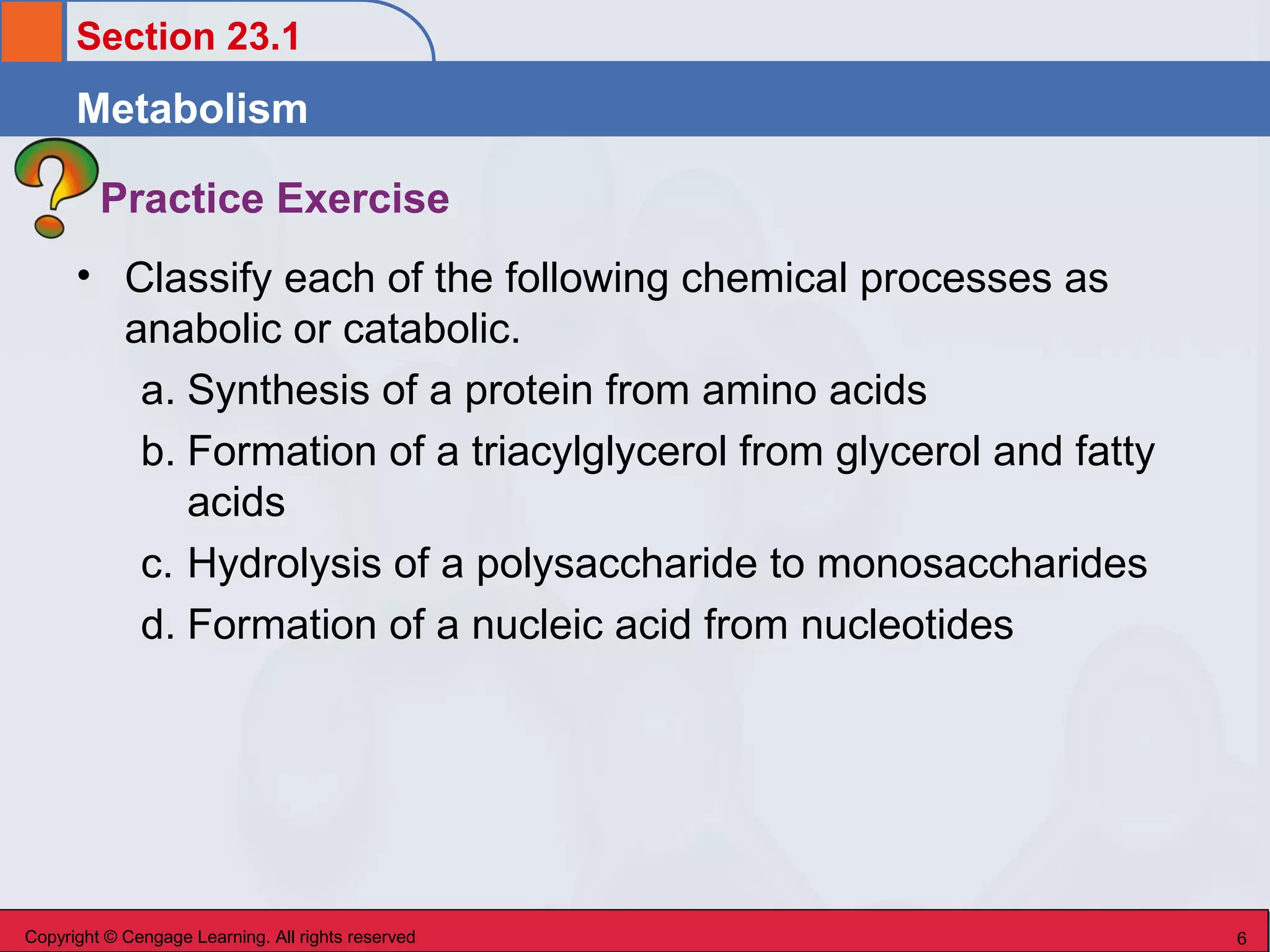 Chem 45 Biochemistry: Stoker chapter 23 Metabolism Introduction | PDF