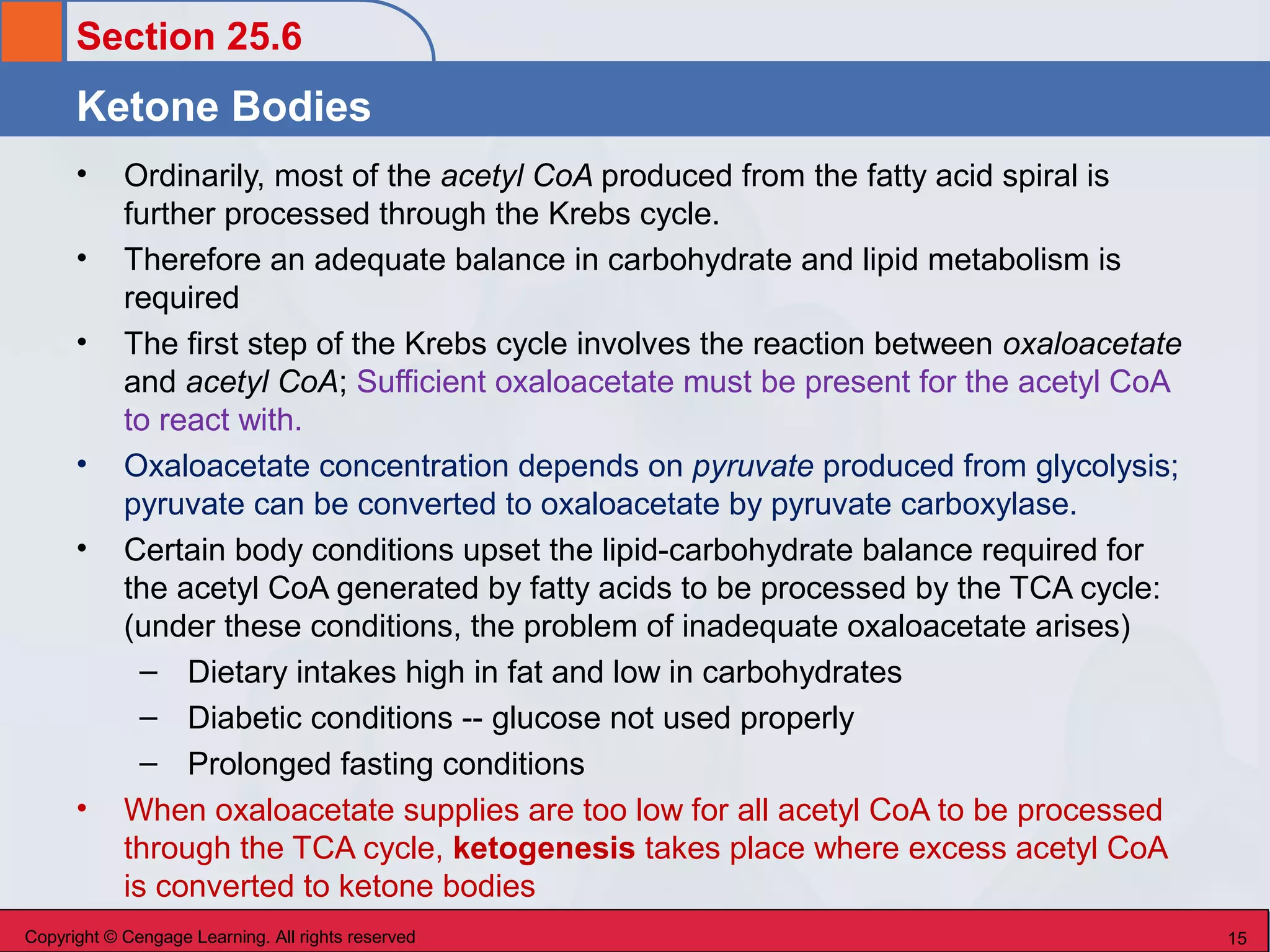 Chem 45 Biochemistry: Stoker chapter 25 Lipid Metabolism | PDF