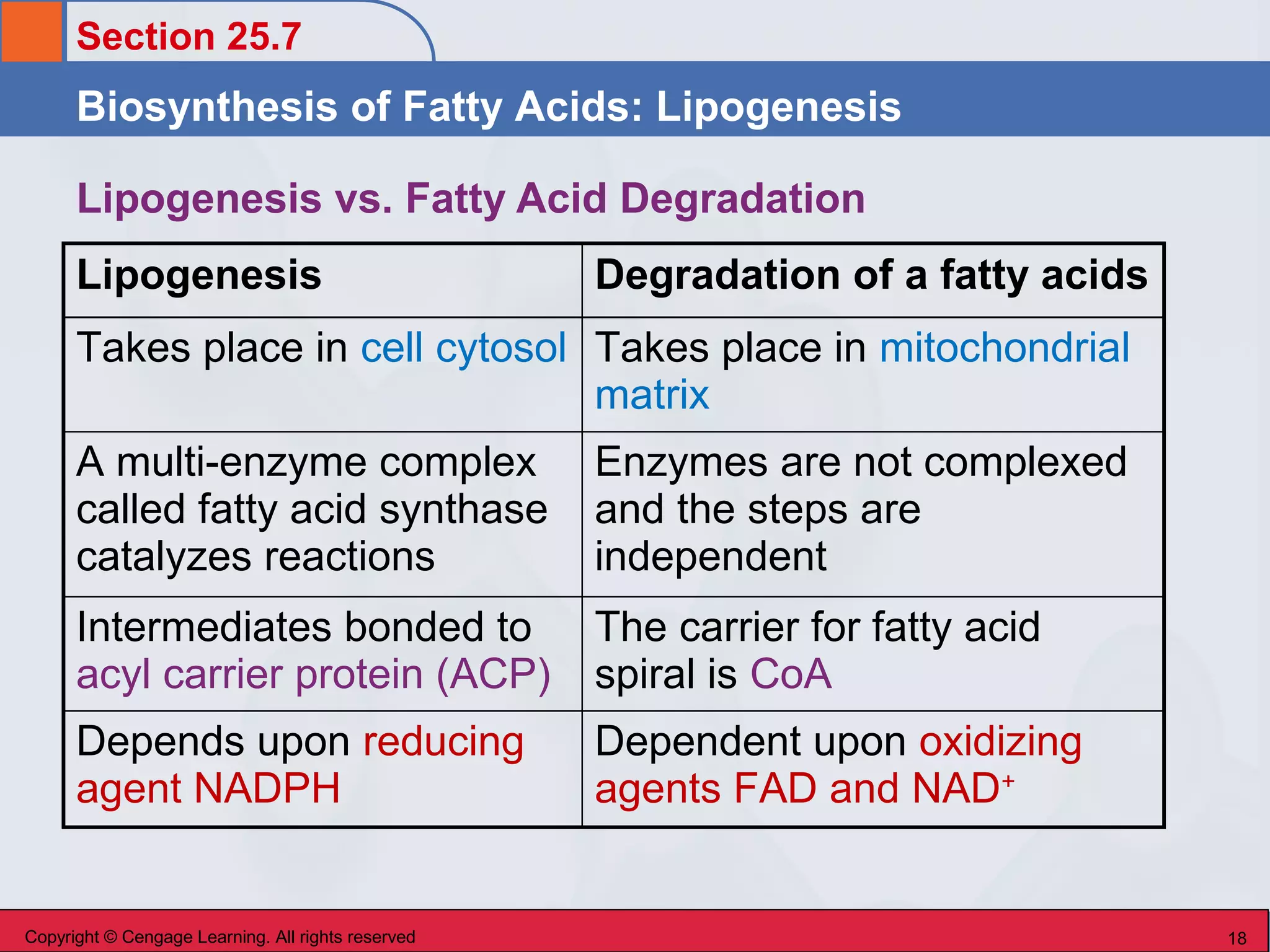 Chem 45 Biochemistry: Stoker chapter 25 Lipid Metabolism | PDF