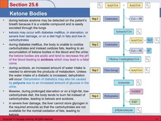 Chem 45 Biochemistry: Stoker chapter 25 Lipid Metabolism | PDF