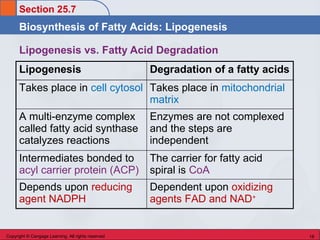 Chem 45 Biochemistry: Stoker chapter 25 Lipid Metabolism | PDF
