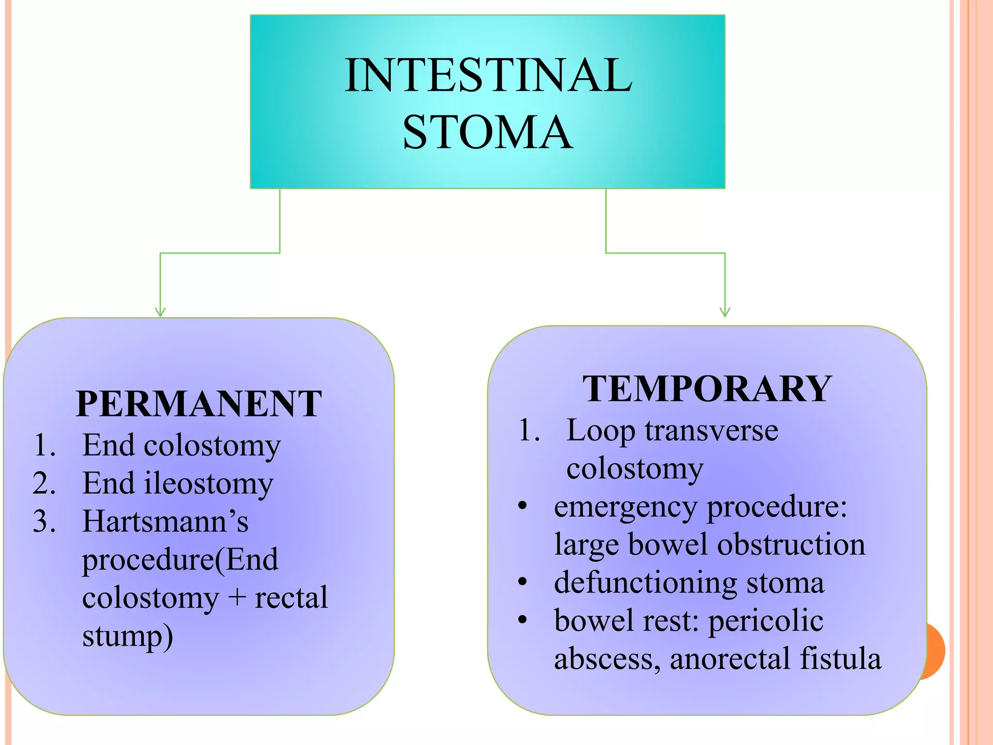 Stoma | PPTX