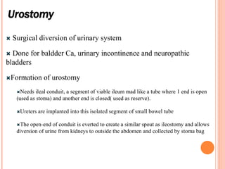 Stoma | PPTX
