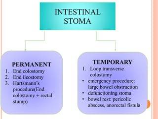 Stoma | PPTX