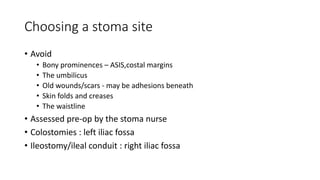 Stoma | PPTX | Digestive Disorders | Diseases and Conditions