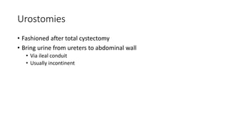 Stoma | PPTX | Digestive Disorders | Diseases and Conditions