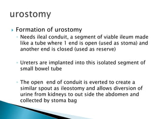 Stoma in surgery | PPT