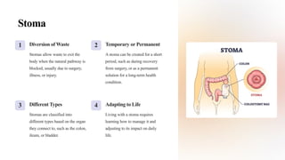 Stoma or (ileostomy and colostomy )and Nursing Care | PPT