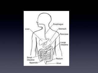 Stoma Therapy - Surgical Nursing | PPT