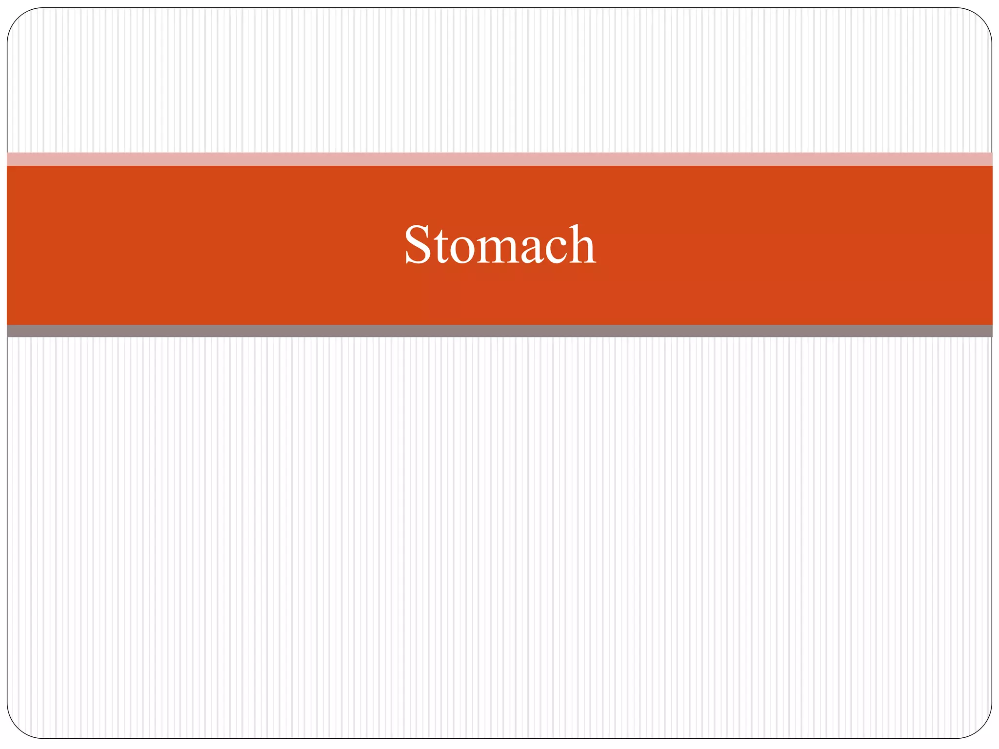 Stomach | PPTX