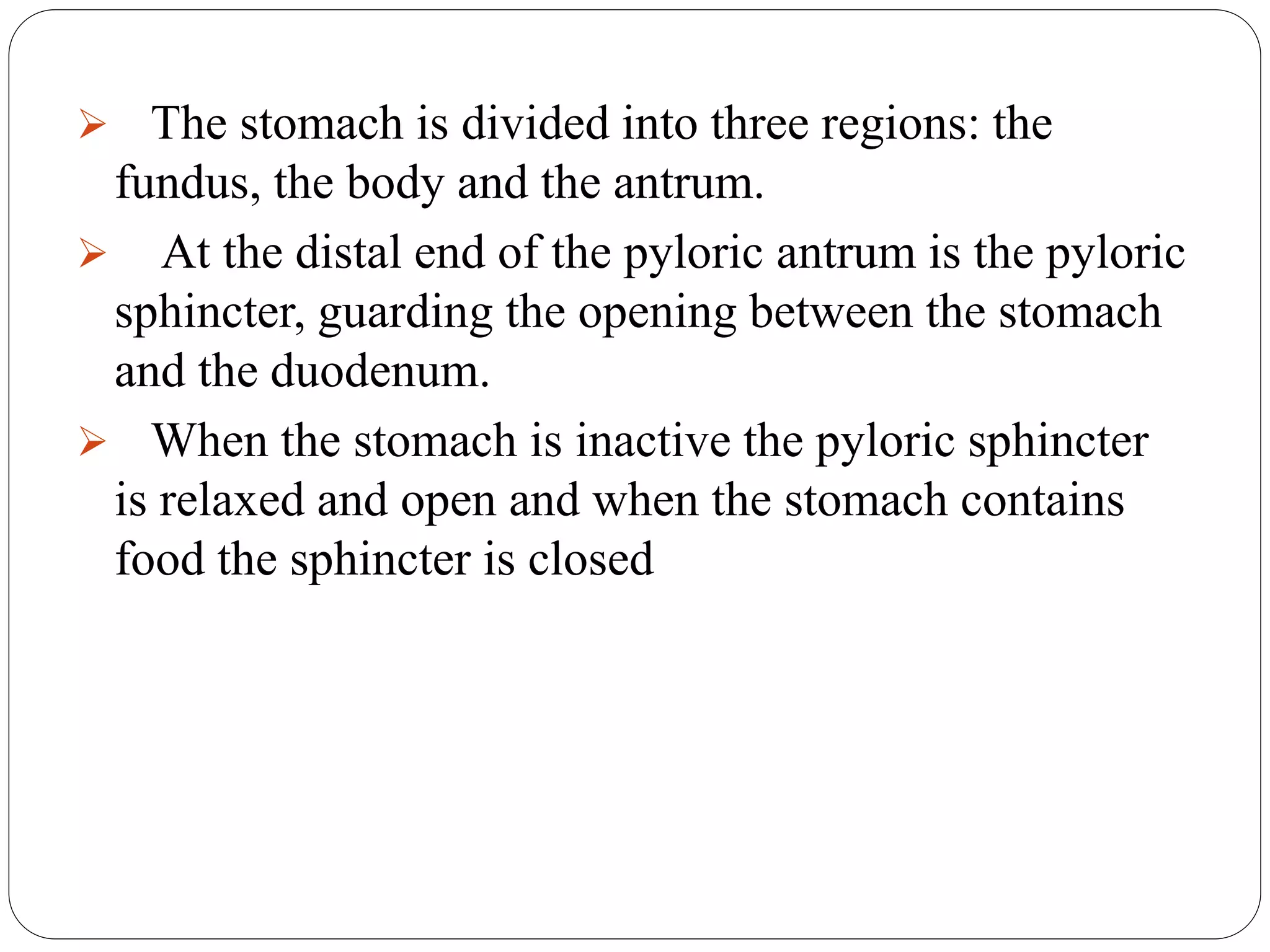 Stomach | PPTX