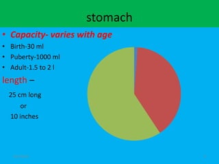 Stomach | PPTX