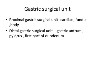 Stomach | PPT | Free Download