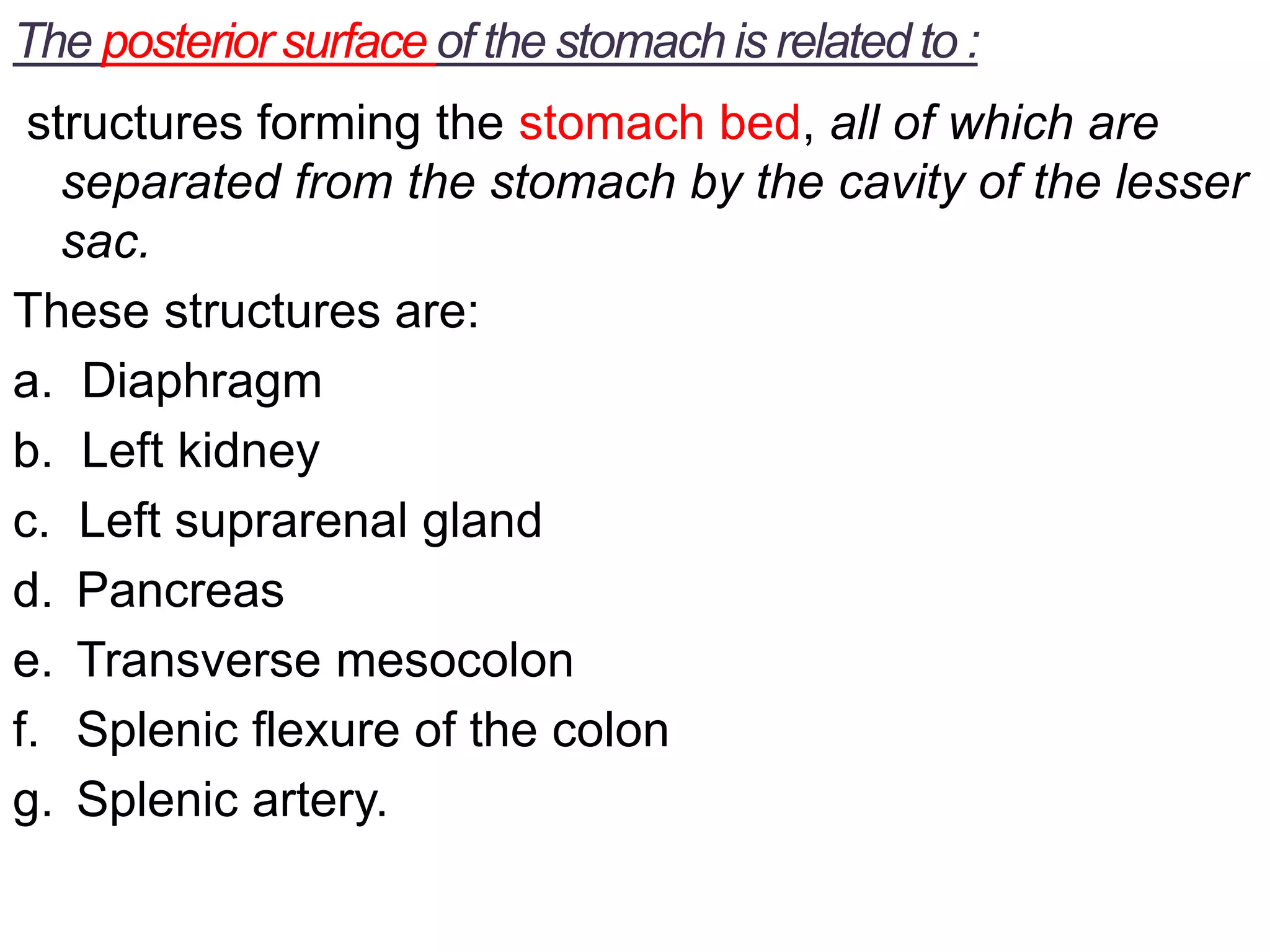 Stomach | PPTX