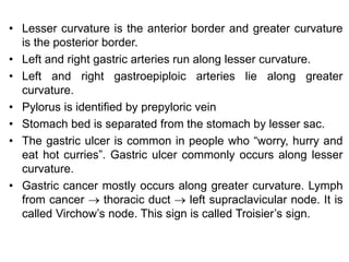 Stomach | PPTX