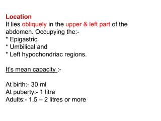 Stomach | PPTX