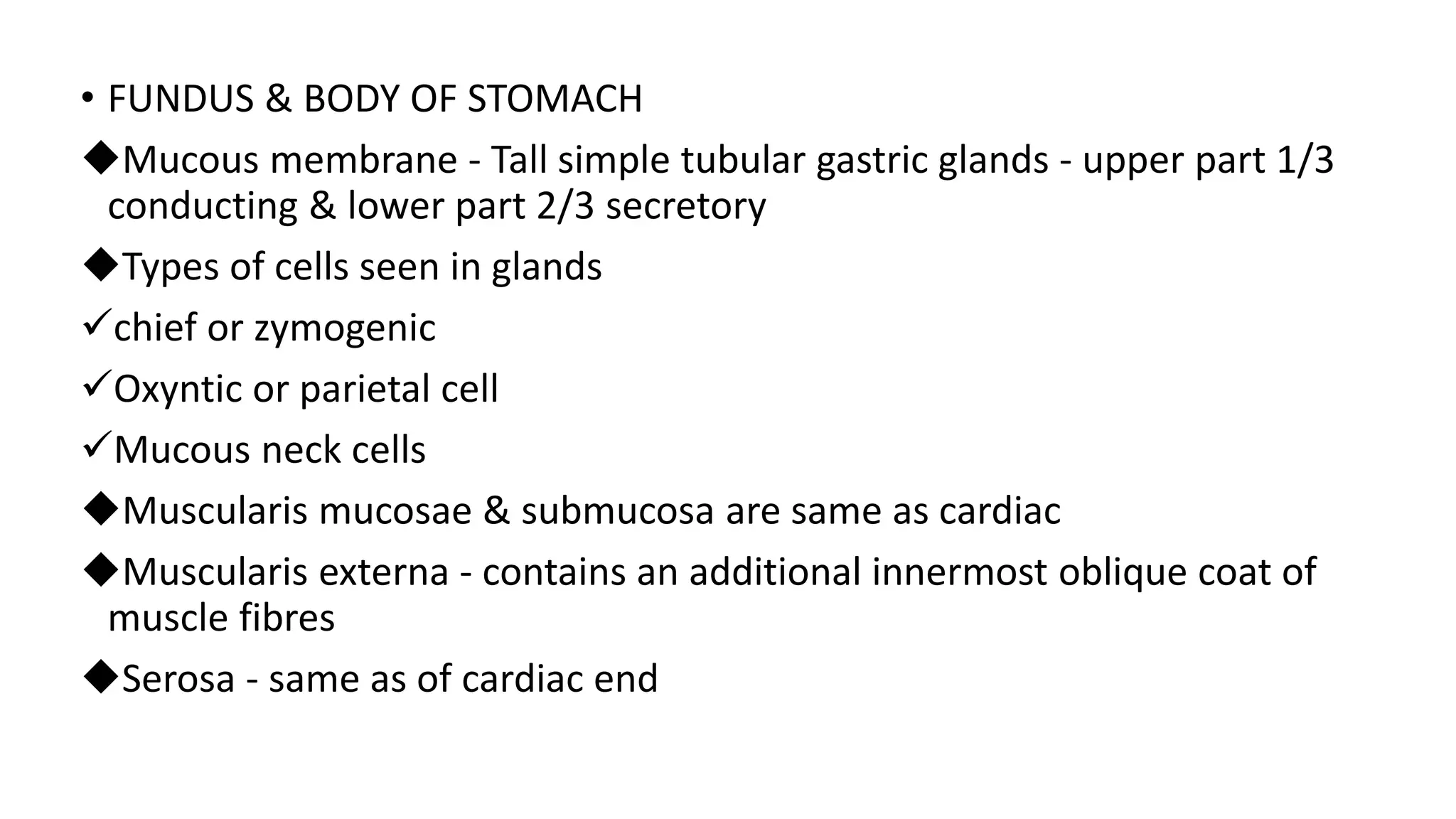 Anatomy of stomach by Neha Diwan | PPT Anatomy of stomach by Neha Diwan | PPT