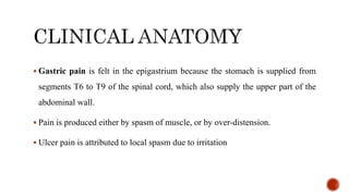Stomach | PPTX