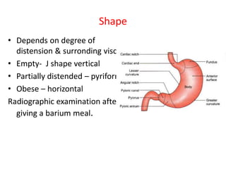 general features and microstructure of stomach ppt | PPT