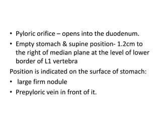 general features and microstructure of stomach ppt | PPT