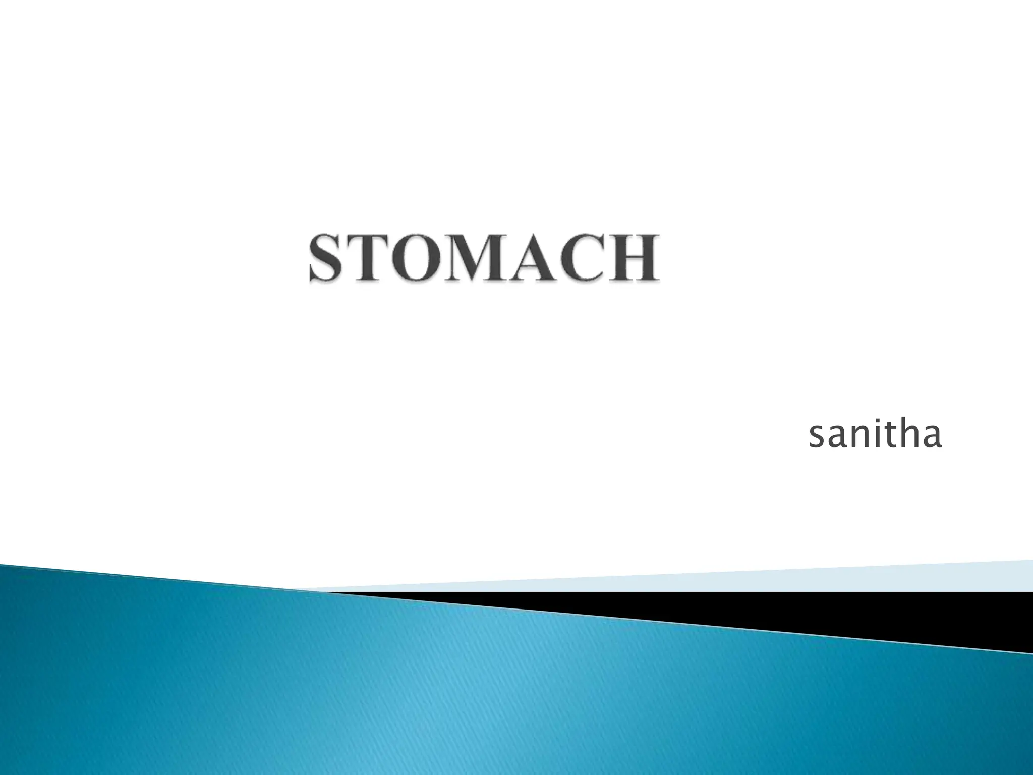 STOMACH. Anatomy and physiology. PPT pptx | PPTX