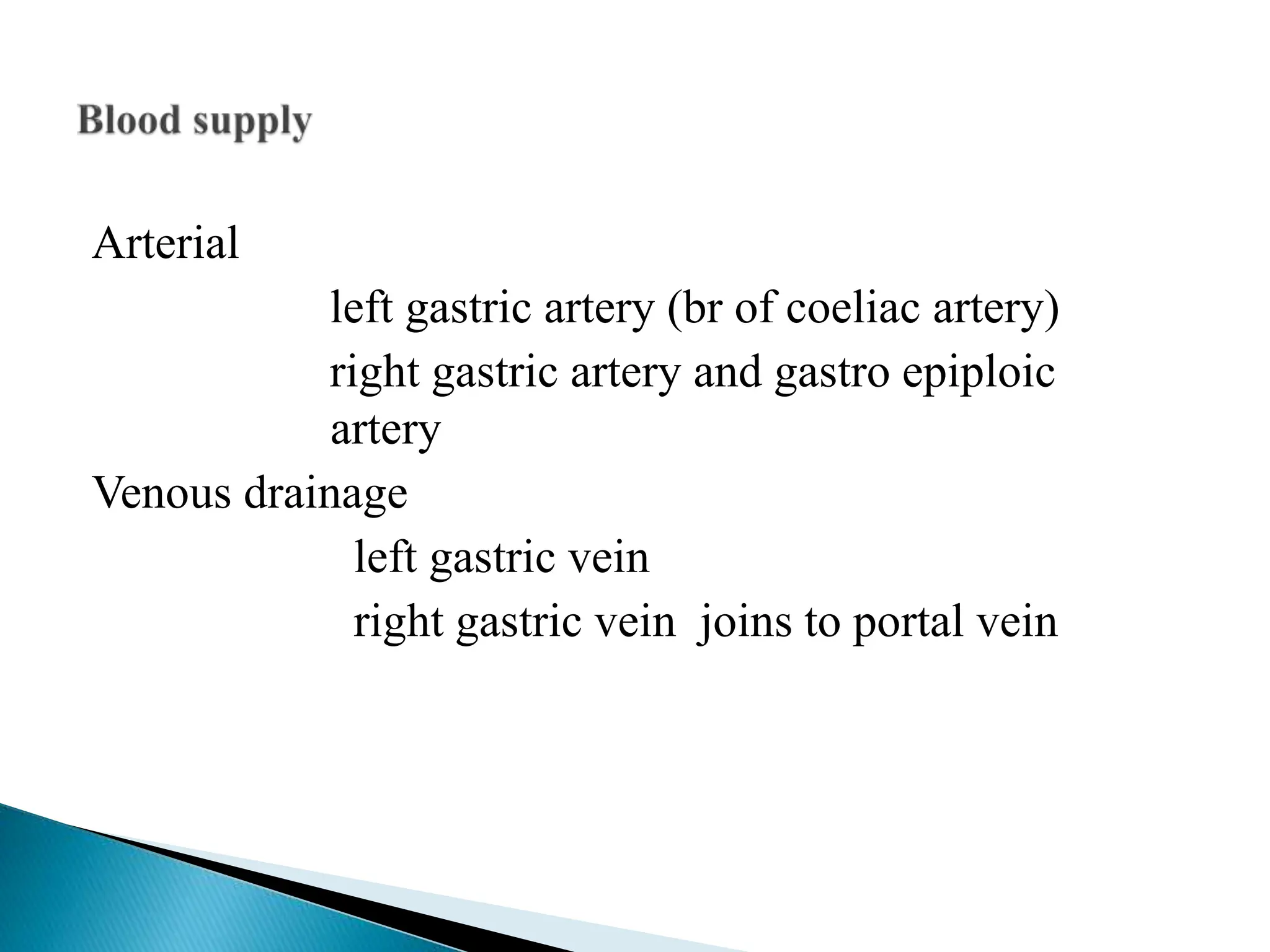 STOMACH. Anatomy and physiology. PPT pptx | PPTX