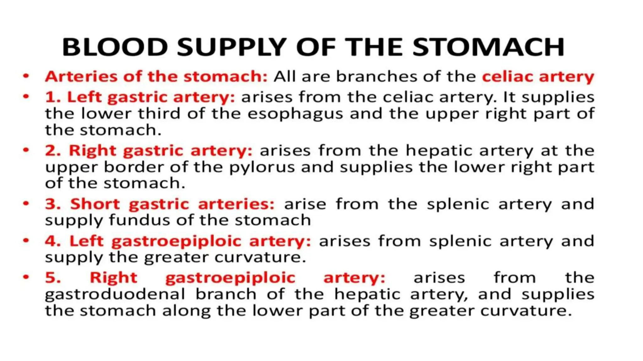 STOMACH.pptx for human anatomy study 1st prof mbbs study | PPT