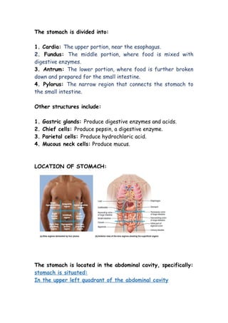 STOMACH notes for nursing students, anatomy | DOCX