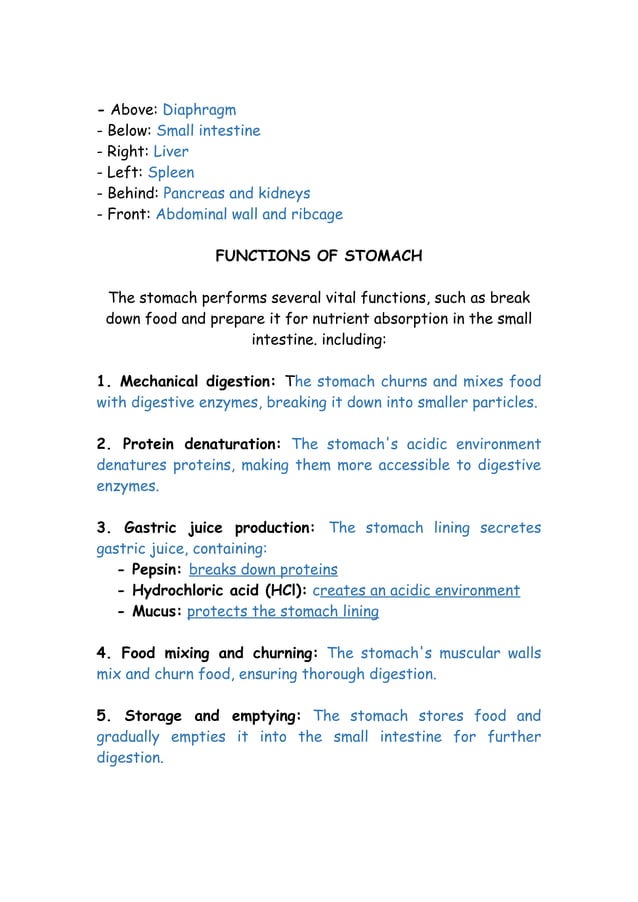 STOMACH notes for nursing students, anatomy | DOCX