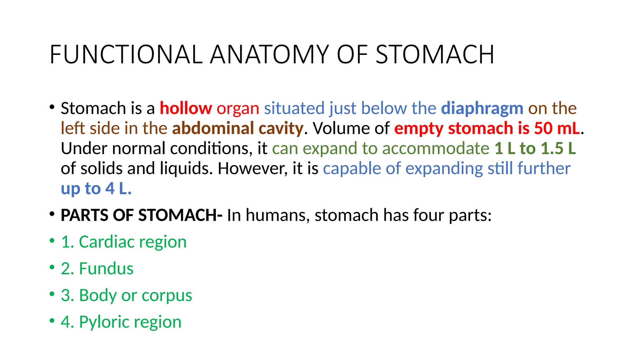 Stomach.pptx akaidni namaste namaste namaste namaste | PPTX