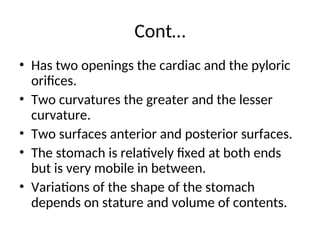 anatomy and physiology of the stomach for graduate students | PPT