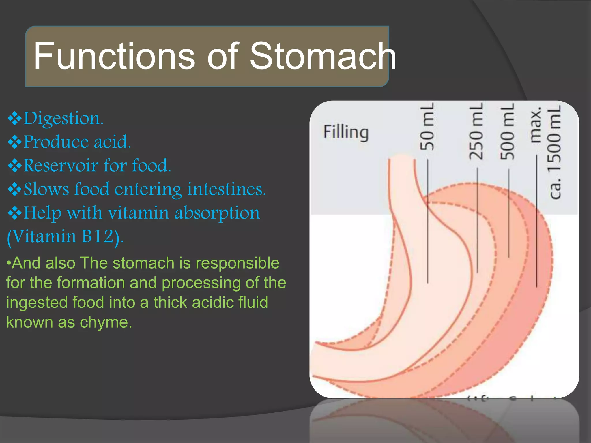 Stomach anatomy and histology | PPTX | Digestive Disorders | Diseases ...