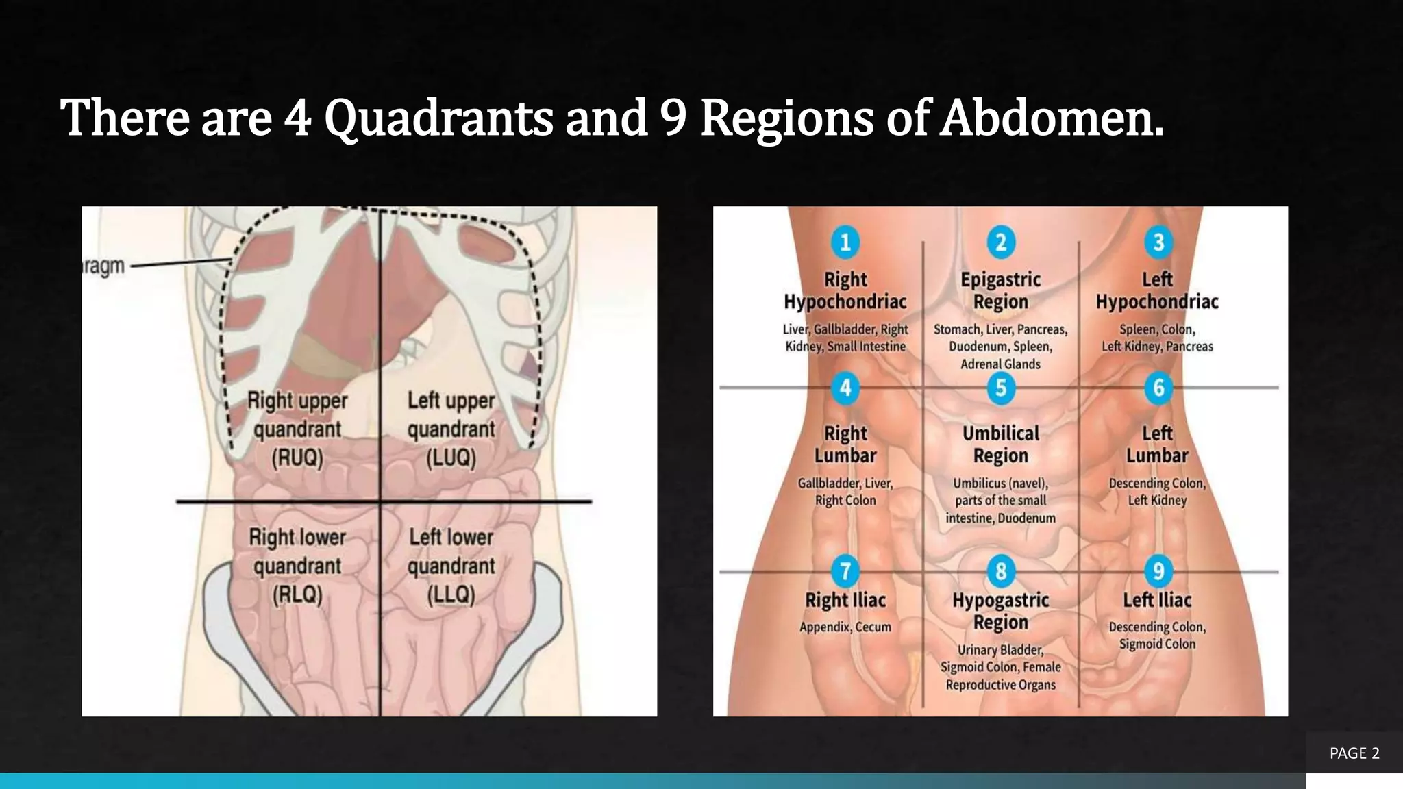 Stomach anatomy ppt 1st year (B.D.Chaurasia) | PPTX