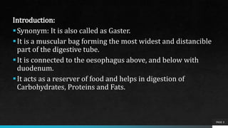 Stomach anatomy ppt 1st year (B.D.Chaurasia) | PPTX