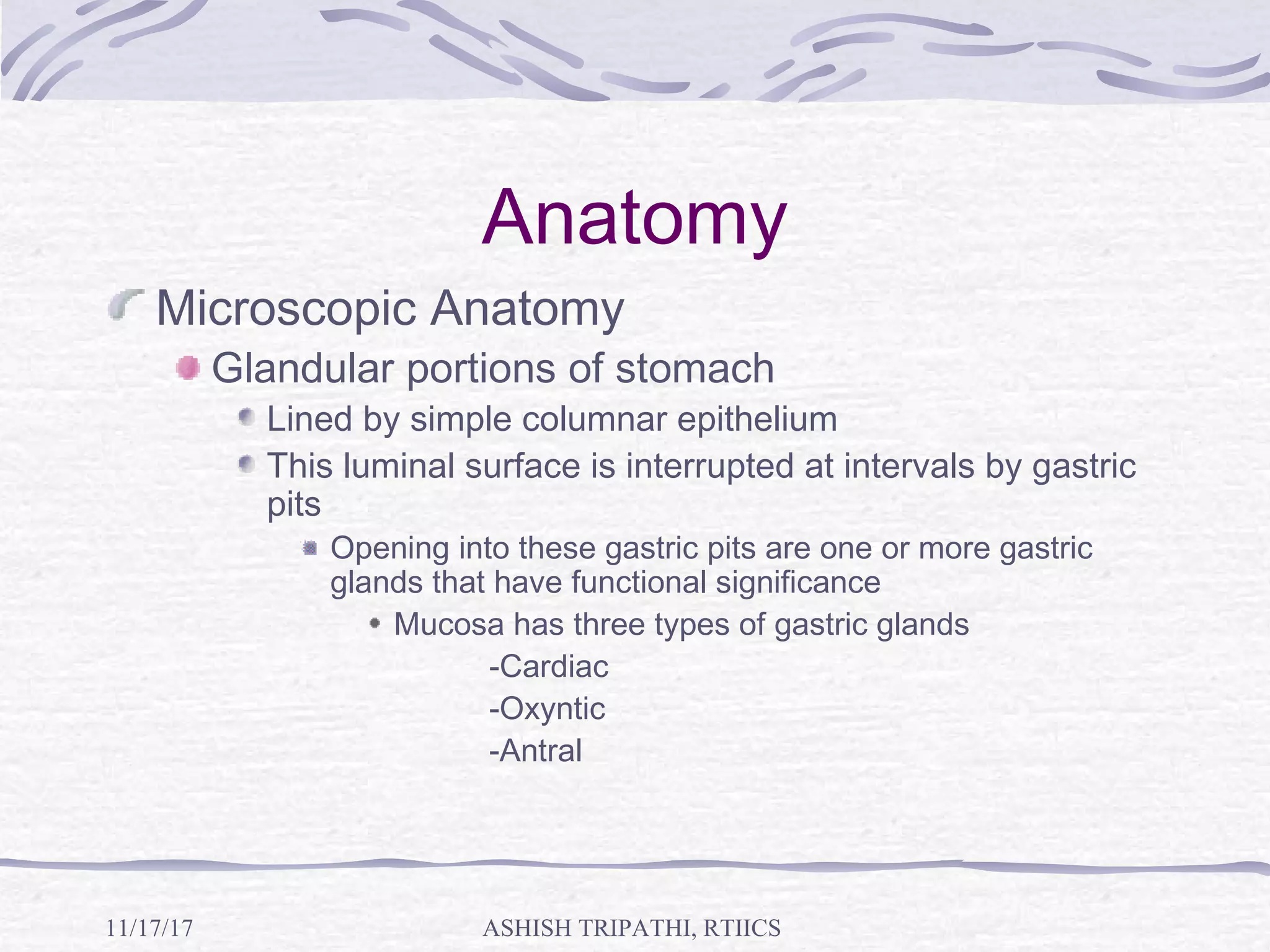 Stomach anatomy and physiology | PPT
