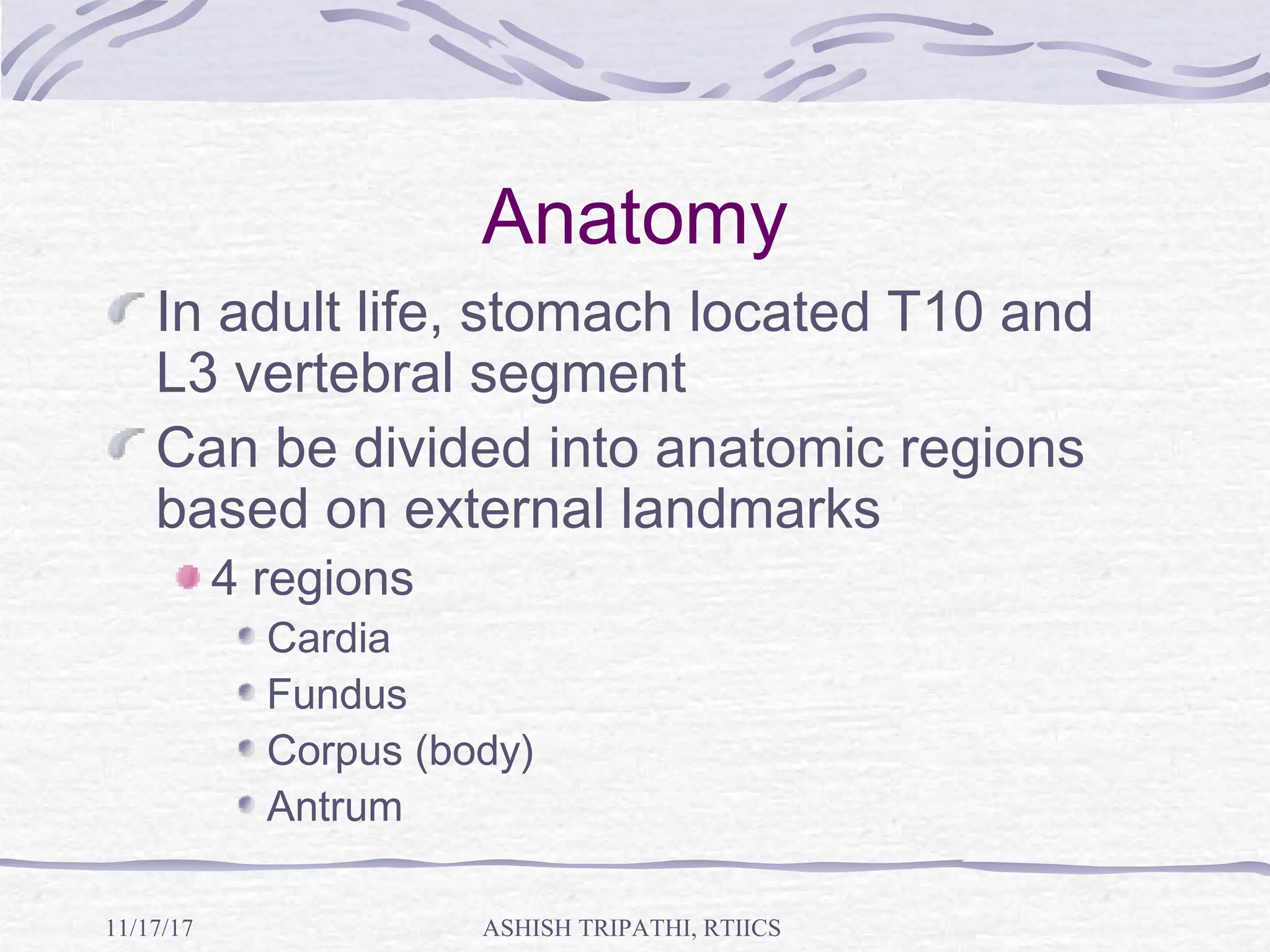 Stomach anatomy and physiology | PPT