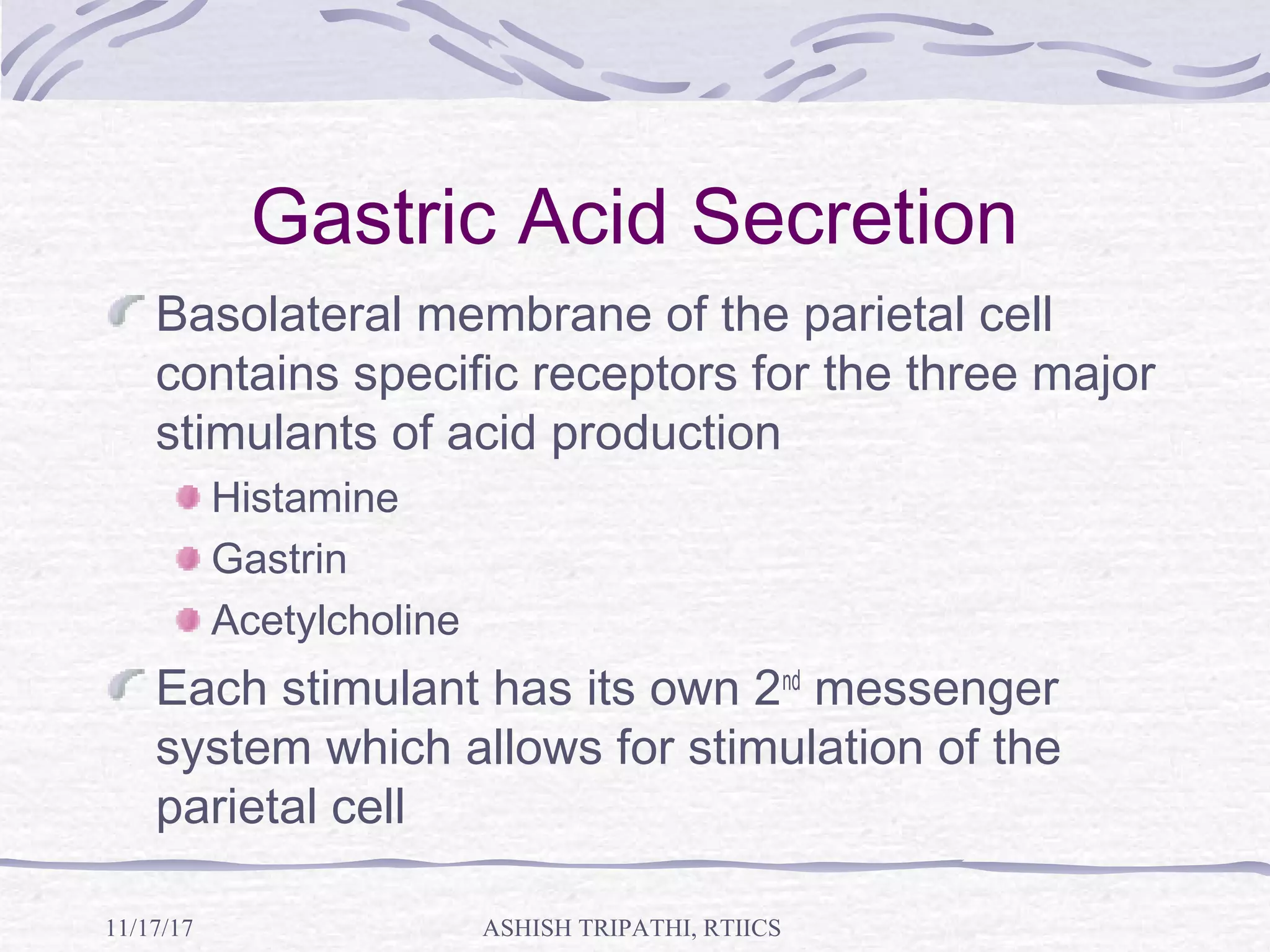 Stomach anatomy and physiology | PPT