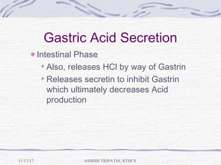 Stomach anatomy and physiology | PPT