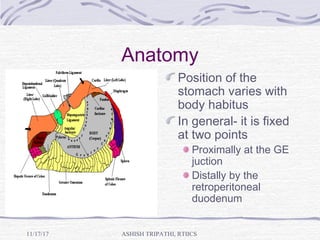 Stomach anatomy and physiology | PPT