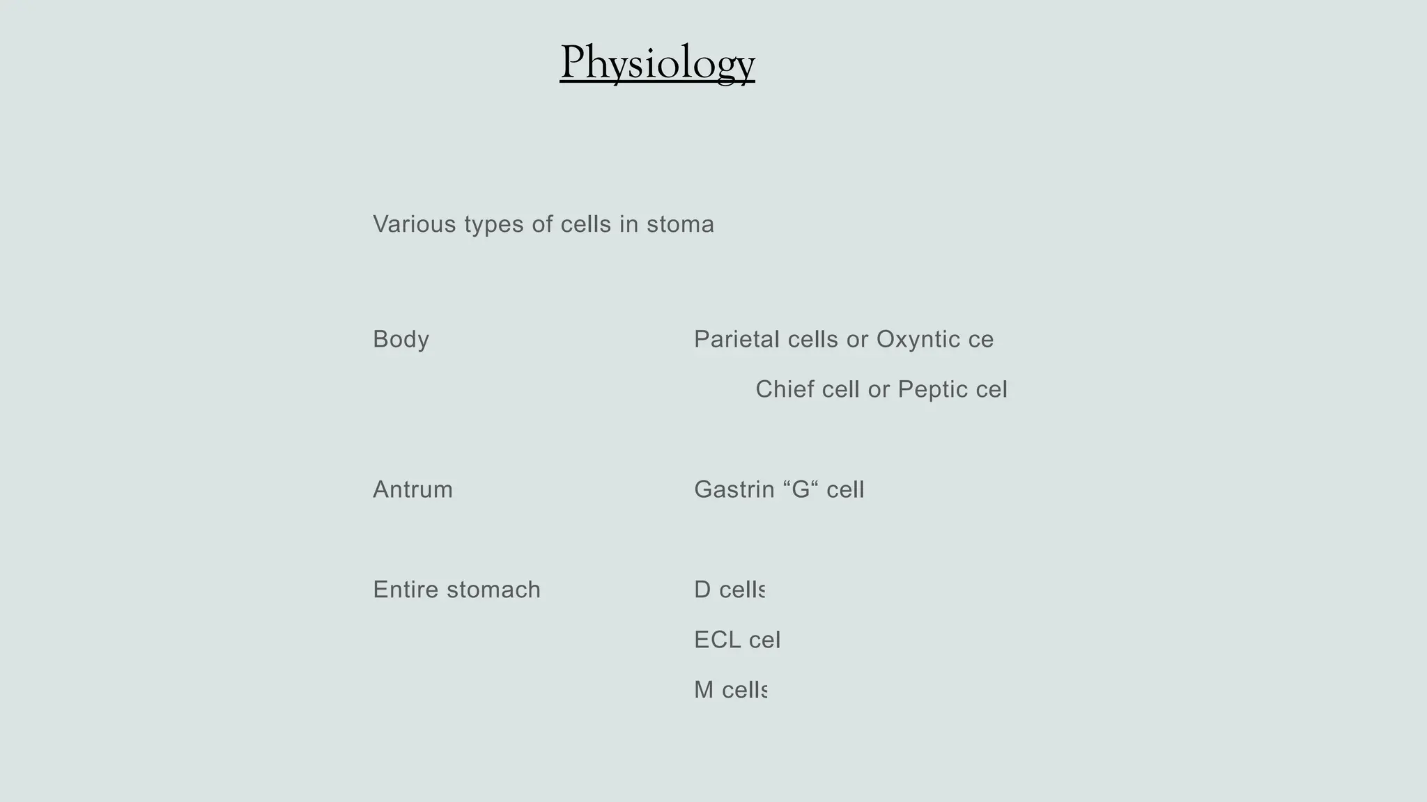 Stomach Anatomy and Physiology an overview | PPTX
