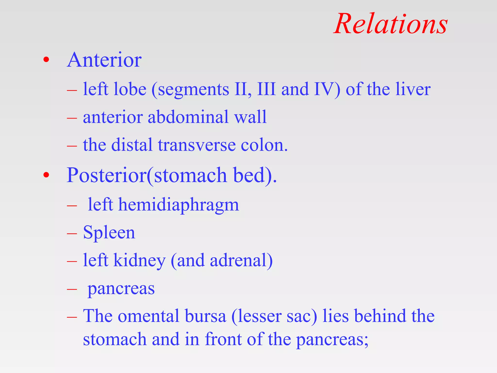Stomach anatomy +congenital hypertropic pyloric stenosis.pptx