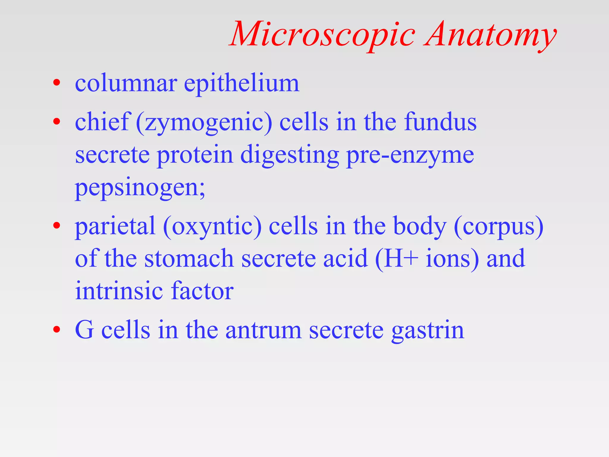 Stomach anatomy +congenital hypertropic pyloric stenosis.pptx