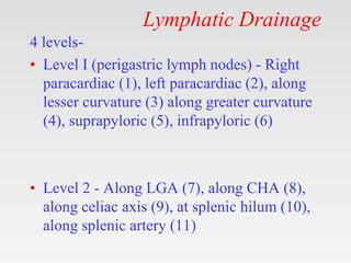 Stomach anatomy + physiology.pptx