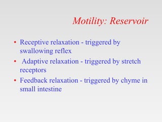 Stomach anatomy + physiology.pptx